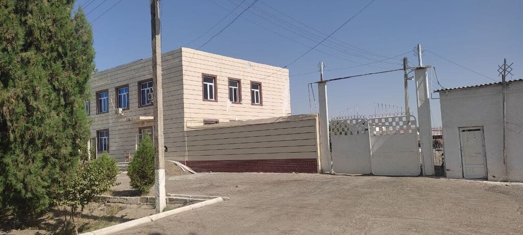 Yol yapımı ve bakımı Jondor Tyfuk, Buhara eyaleti, foto