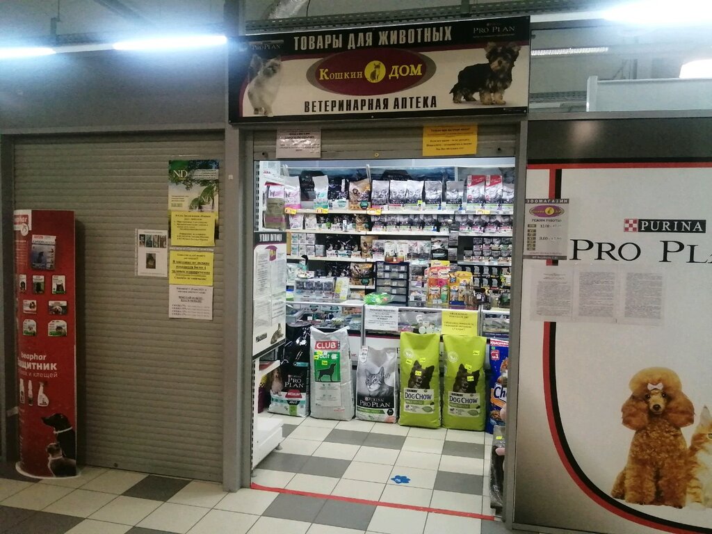 Petshop Koshkin dom, Nijni Novgorod, foto