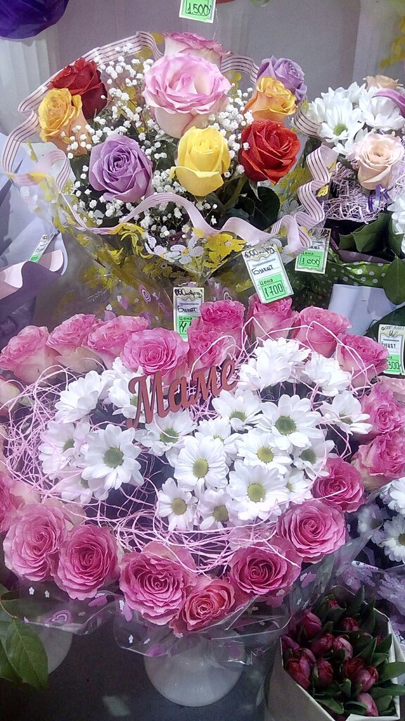 Çiçekçiler Тимур, Inta, foto