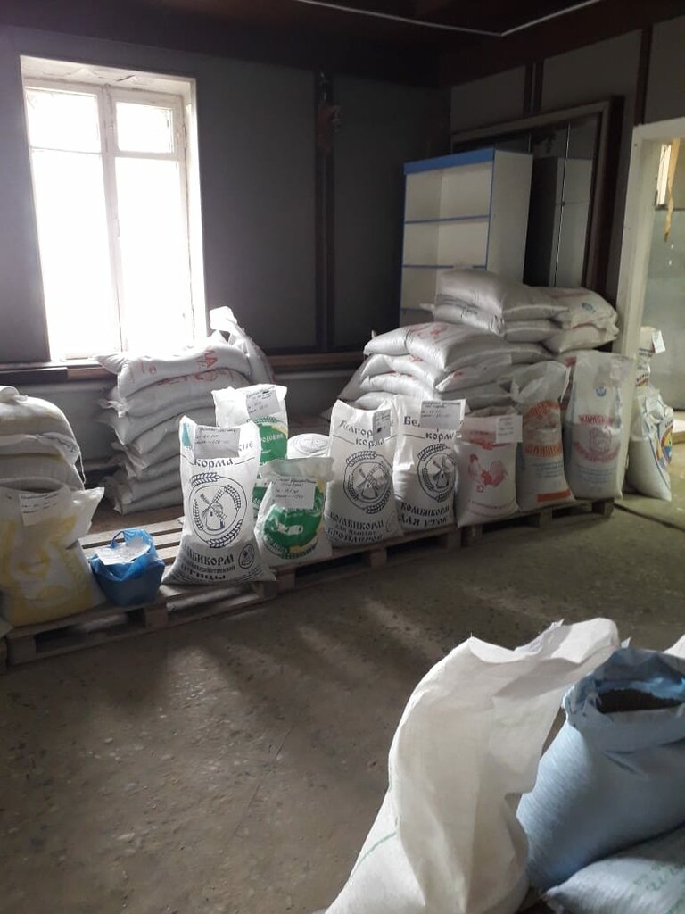 Yem ve yem katkı maddeleri Живая птица, Jukovka, foto