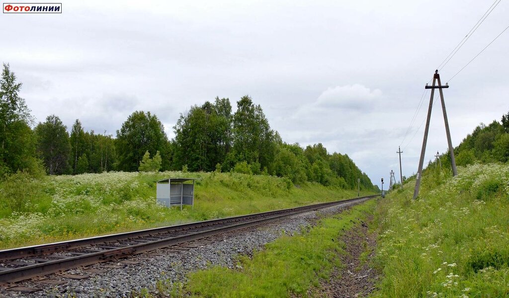 Tren istasyonu остановочный пункт Лесопункт, Arhangelskaya oblastı, foto