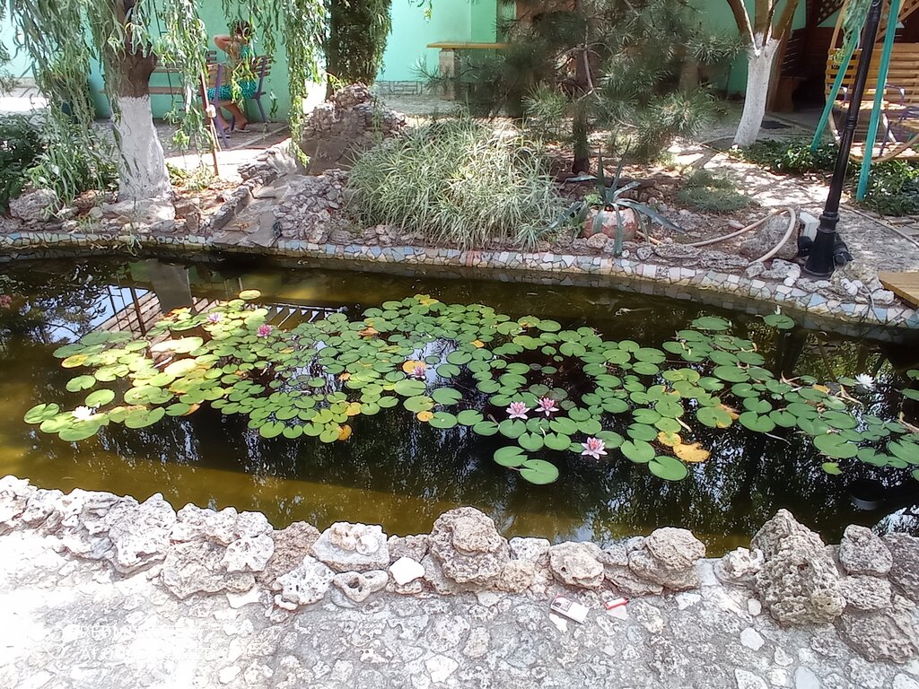 Konuk evi Muzyka Vetra, Kırım Cumhuriyeti, foto