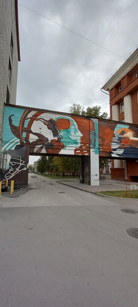 Sokak sanatı Граффити Биопротезирование, Novosibirsk, foto
