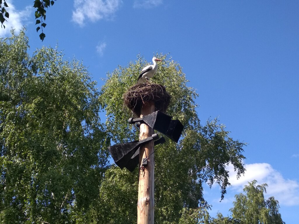 Park, sokak heykeli Аист в гнезде, Omsk, foto