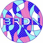 Brdn (Sofji Kavaliewskaj Lane No:60), bilişim firmaları  Minsk'ten
