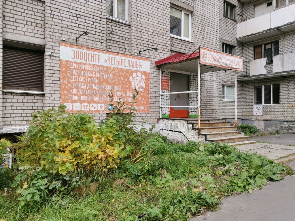 Hayvanat bahçesi merkezi Chetyre Lapy, Arhangelsk, foto