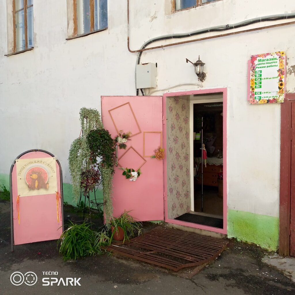 Hediyelik eşya mağazaları Цветы и подарки, Poşehonye, foto