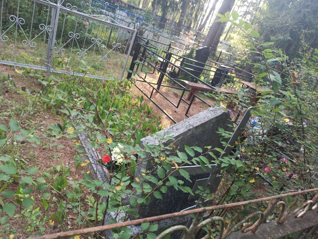 Anıt, heykel Захоронение расстрелянных 2-х девушек Елены и Марии, Pskovskaya oblastı, foto