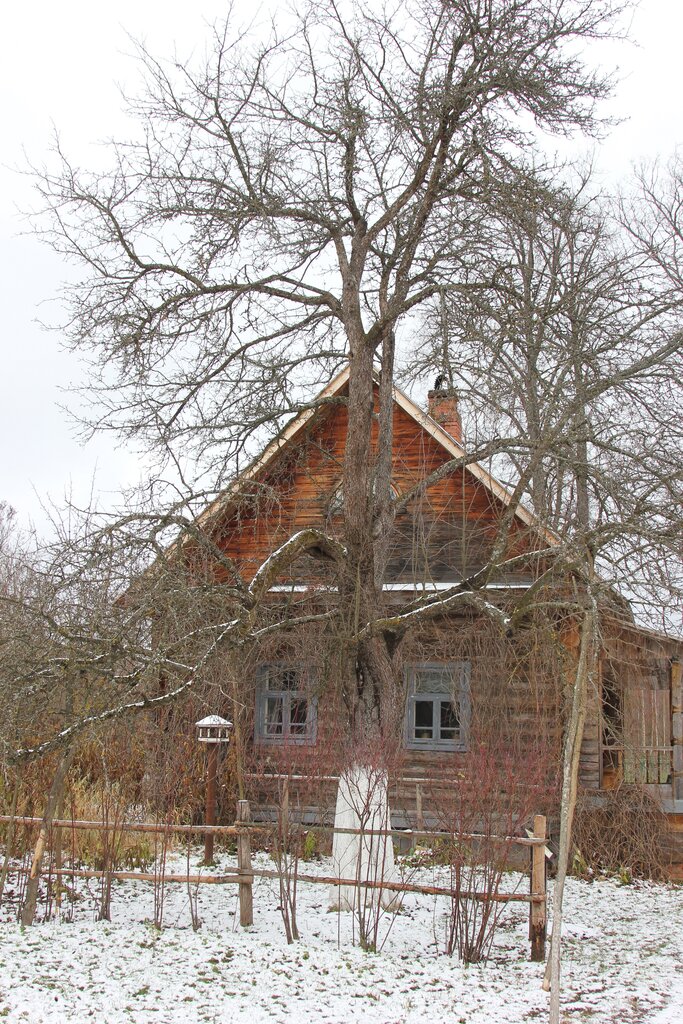 Doğa Яблоня, Moskova ve Moskovskaya oblastı, foto