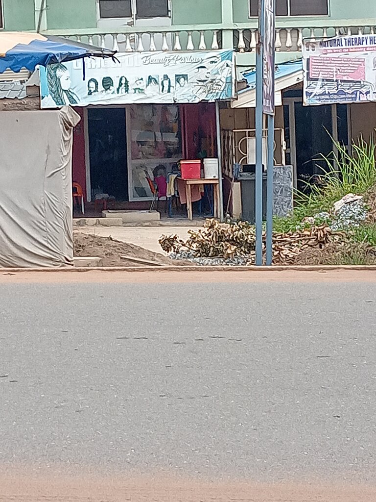 Güzellik salonu Graceful, Dünya, foto