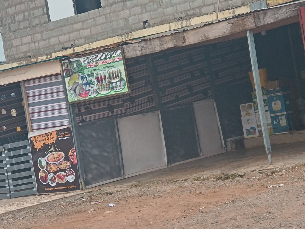 i̇ş merkezi My savior is alive agro chemical shop, Dünya, foto