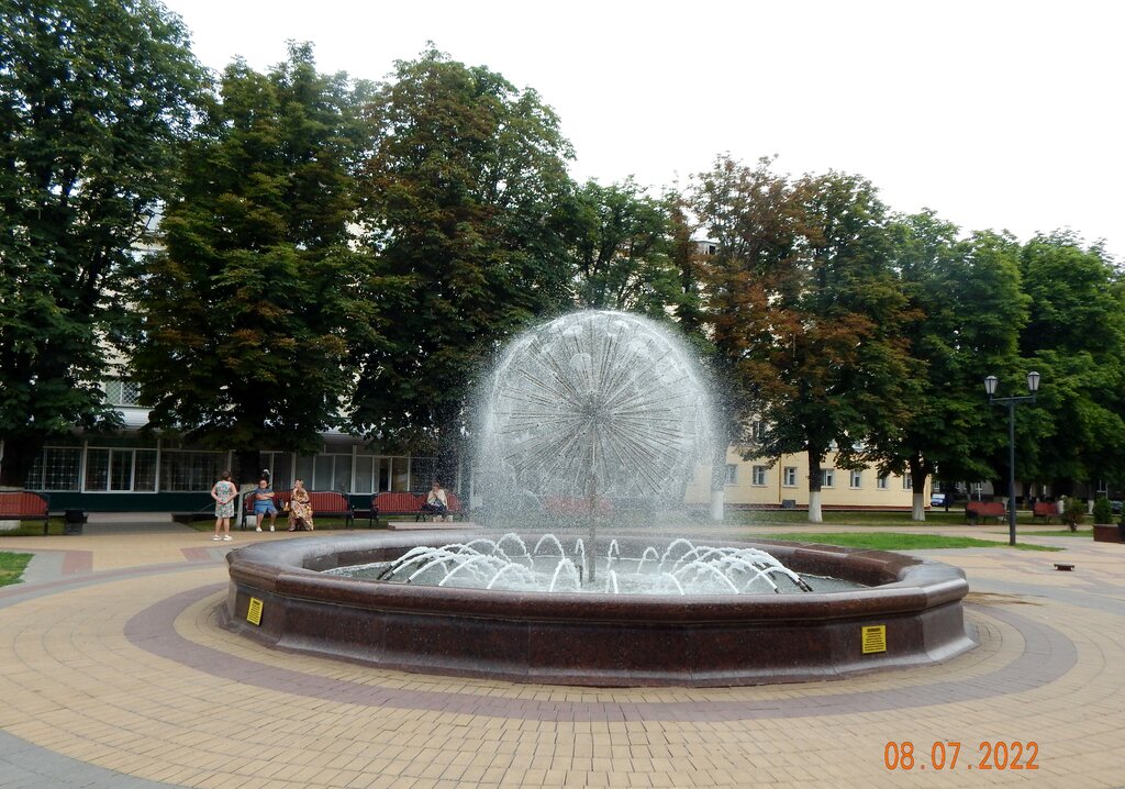 Çeşme Одуванчик, Gomel, foto