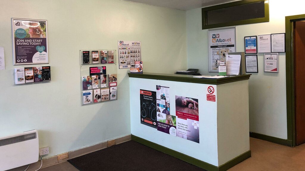 Veteriner klinikleri Albavet Veterinary Surgeons - Dalgety Bay, Fife Konseyi, foto