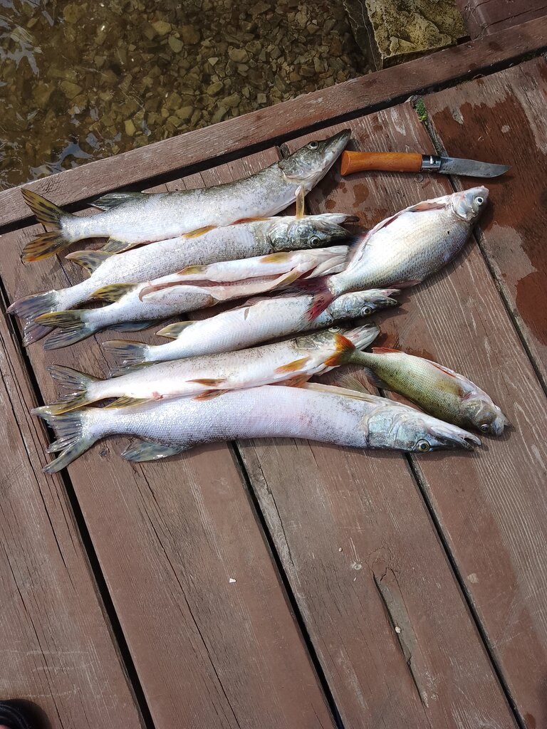 i̇skele Jetty , Başkurdistan, foto