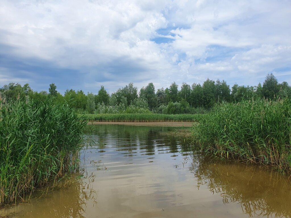 Plaj Beach, Voronejskaya oblastı, foto