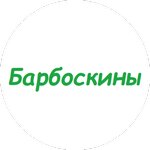 Barboskiny (Stepan Razin street No:6), petshop  Irkutsk'tan