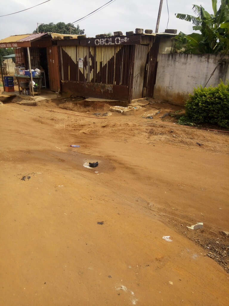 Bar Obolo Spot, Dünya, foto