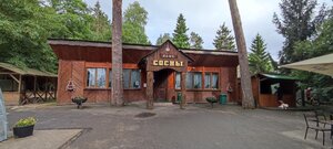 Сосны (Bresckaja voblasć, Kamianiucki Rural Council, 20к3), kafe  Brestskaya oblastından