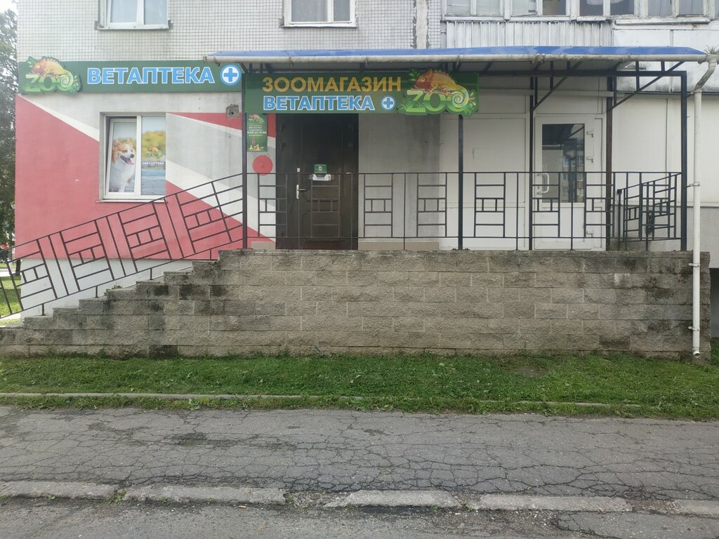 Petshop Chameleon, Vitebsk, foto