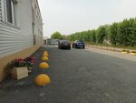 MK (ulitsa 30 let Pobedy No:111Б), otel  Tiumen'den