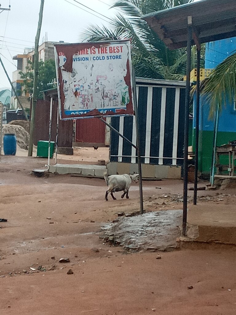 Soğuk hava tesisi God's time is the best coldstore, Dünya, foto