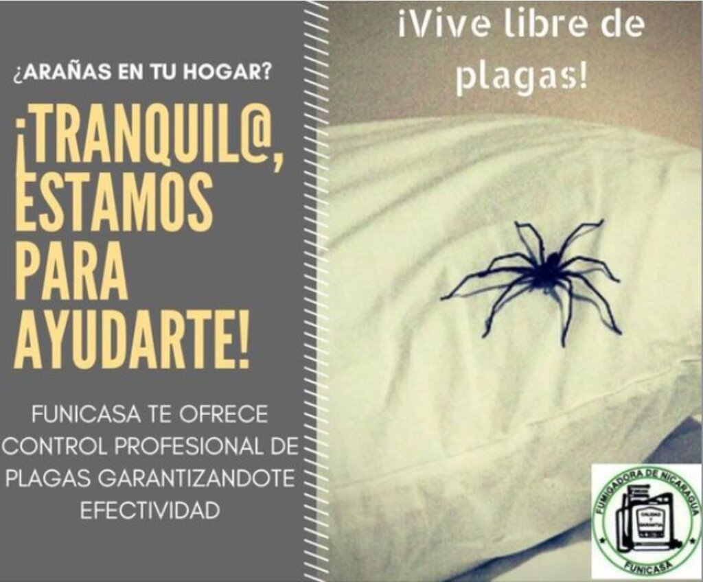 Haşere ilaçlama firmaları Funicasa Fumigadora de Nicaragua, Managua, foto