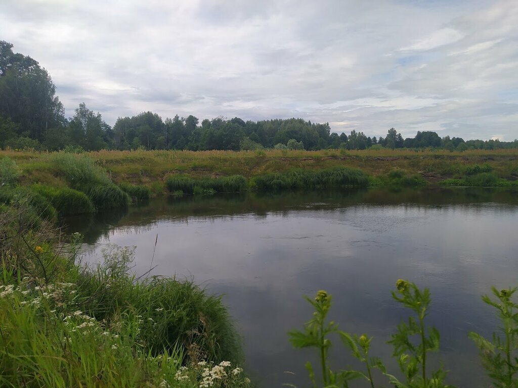 Plaj Пляж, Vladimirskaya oblastı, foto
