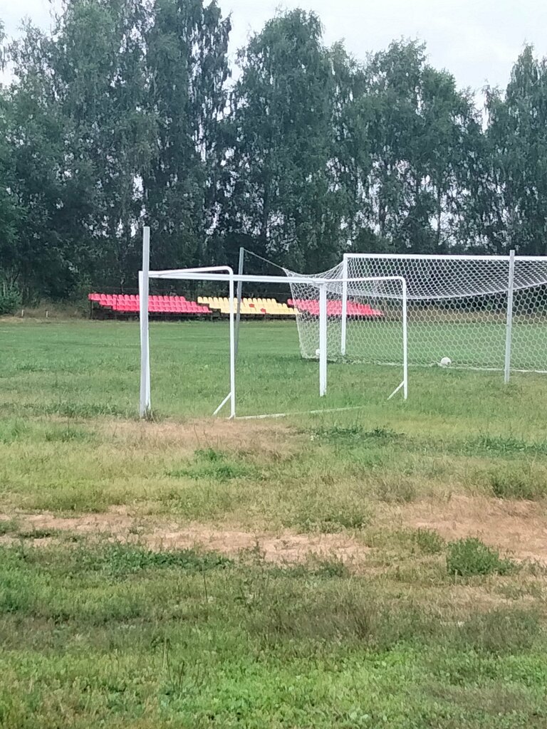 Spor alanı Футбольное поле, Moskova ve Moskovskaya oblastı, foto