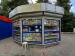 Pressa dlya vsekh (Nizhniy Novgorod, Yaroshenko Street), gazete bayi  Nijni Novgorod'dan