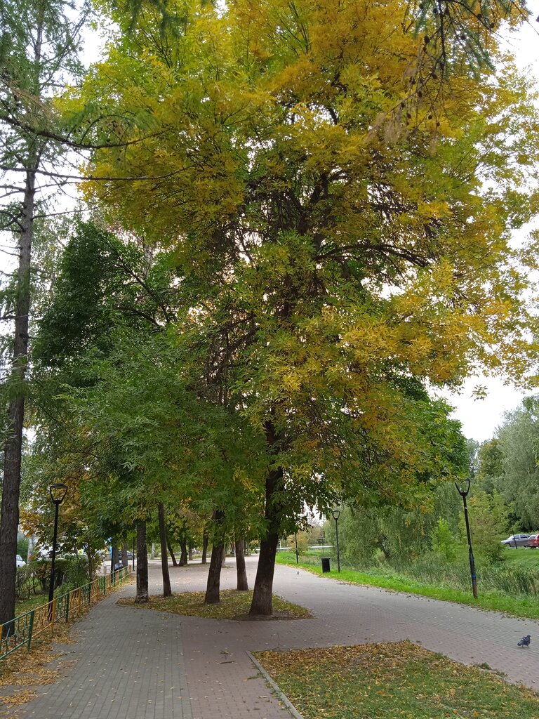 Meydan Ryazanova Garden, Nijni Novgorod, foto