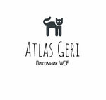 Atlas Geri bengal cats breeder (Lukino Street No:57А), evcil hayvan yetiştiricileri  Balaşiha'dan