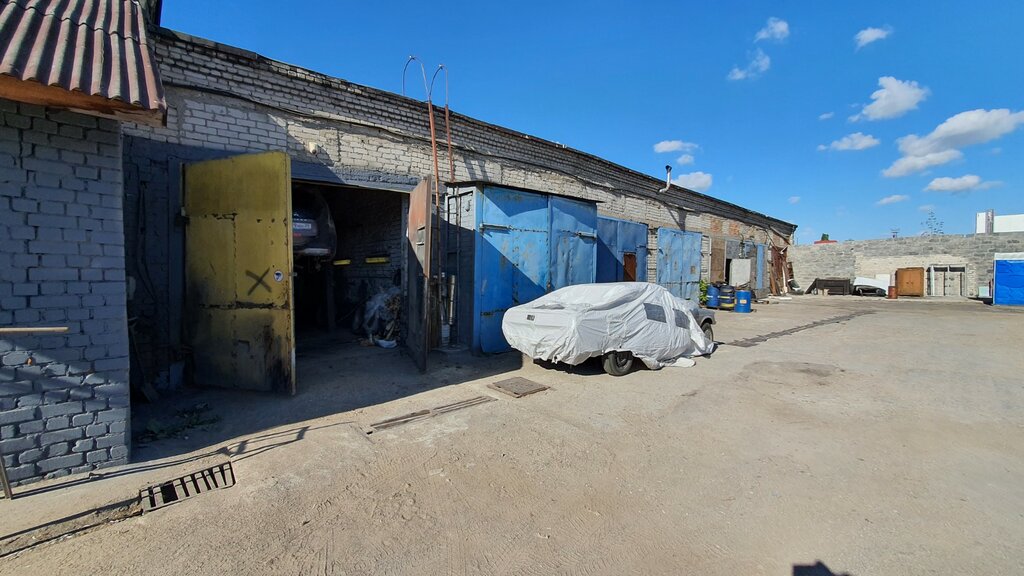 Kaplama hizmetleri Antikor Crazy Tony, Kaliningrad, foto
