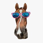 Horsewalk.ru (Lesnaya ulitsa No:38), at ve binicilik kulüpleri  Dzerjinski'den