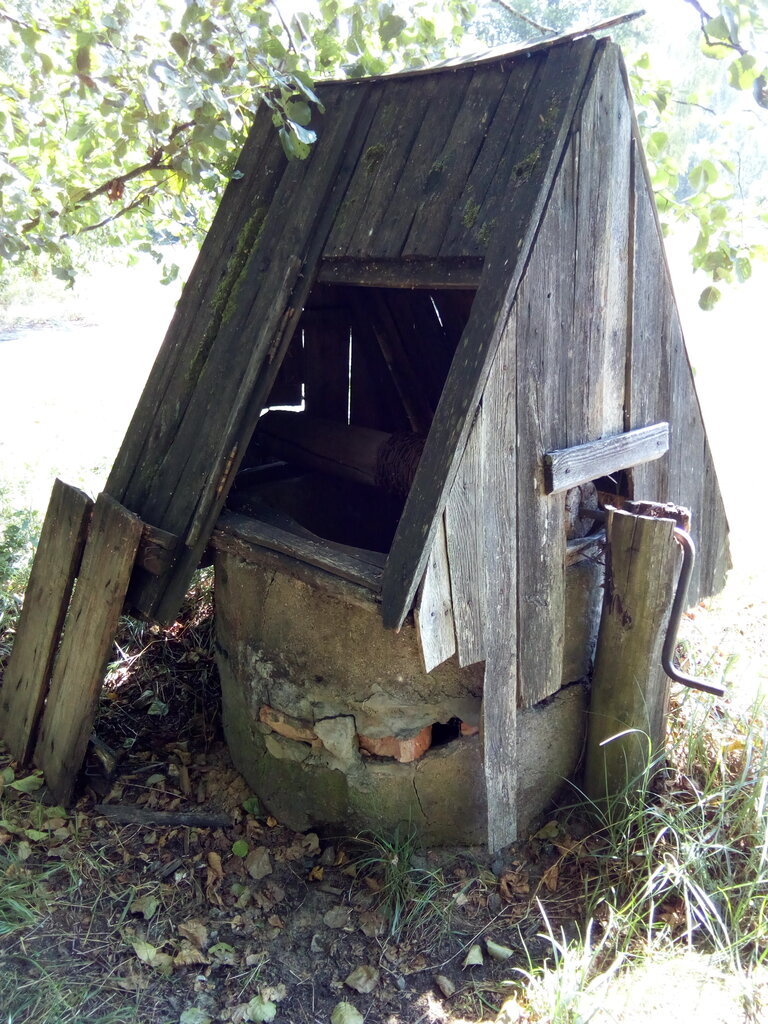 Pınar, çay Spring, stream, Brianskaya oblastı, foto