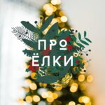 Elki-pro (ulitsa Duki No:75), yapay çam ağaçları ve süsleri  Briansk'tan