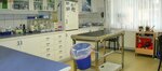 Tierordination Fröbelstraße (Fröbelstraße No:10, Puchenau), veteriner klinikleri  Linz'den