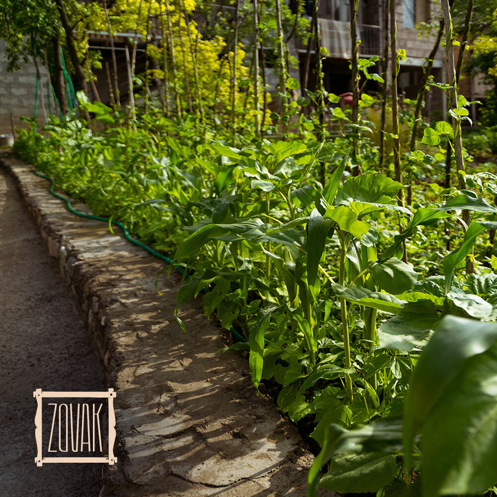 Konuk evi Guest house Zovak, Tavuş, foto