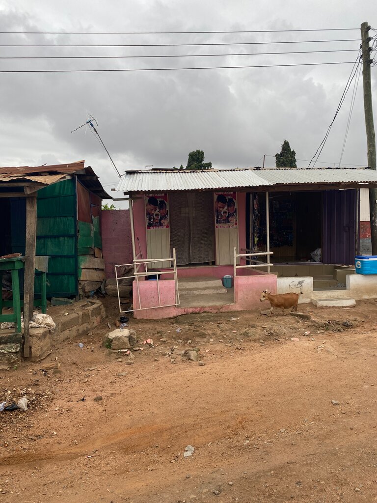 Berberler King Sasa Barbershop, Dünya, foto