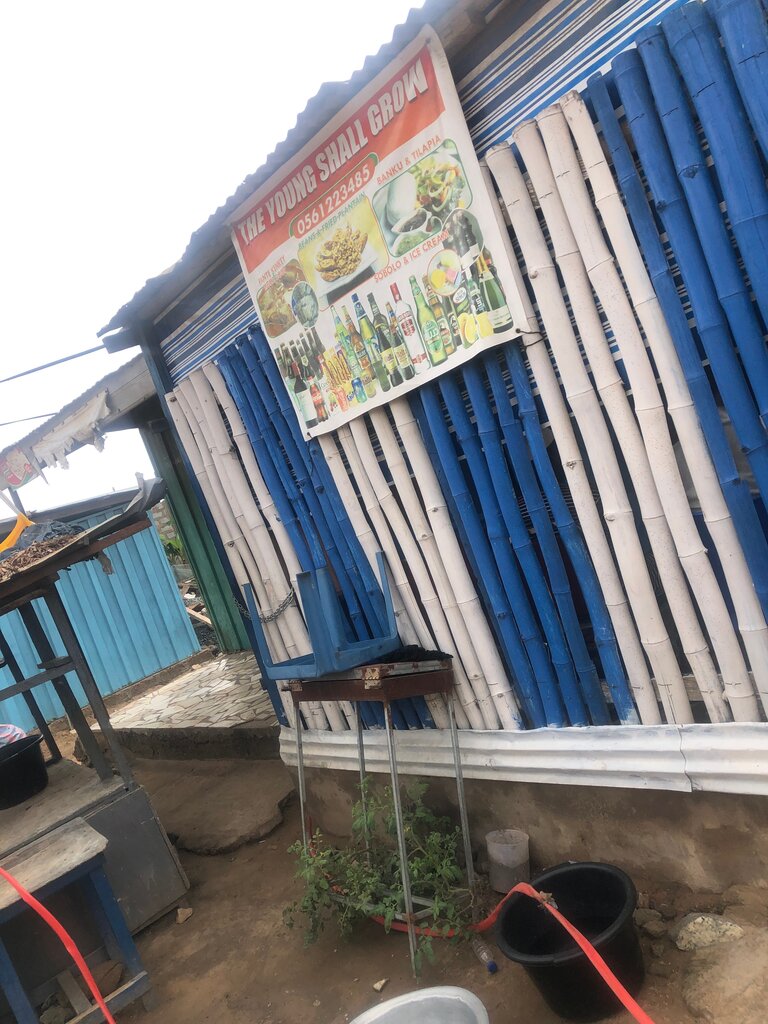 Bar The young shall grow, Dünya, foto