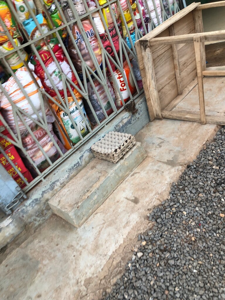 Dondurulmuş gıda firmaları Abundant grace, Dünya, foto