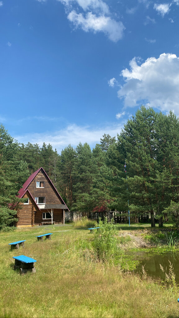 Tatil köyleri Русские дворики, Brianskaya oblastı, foto