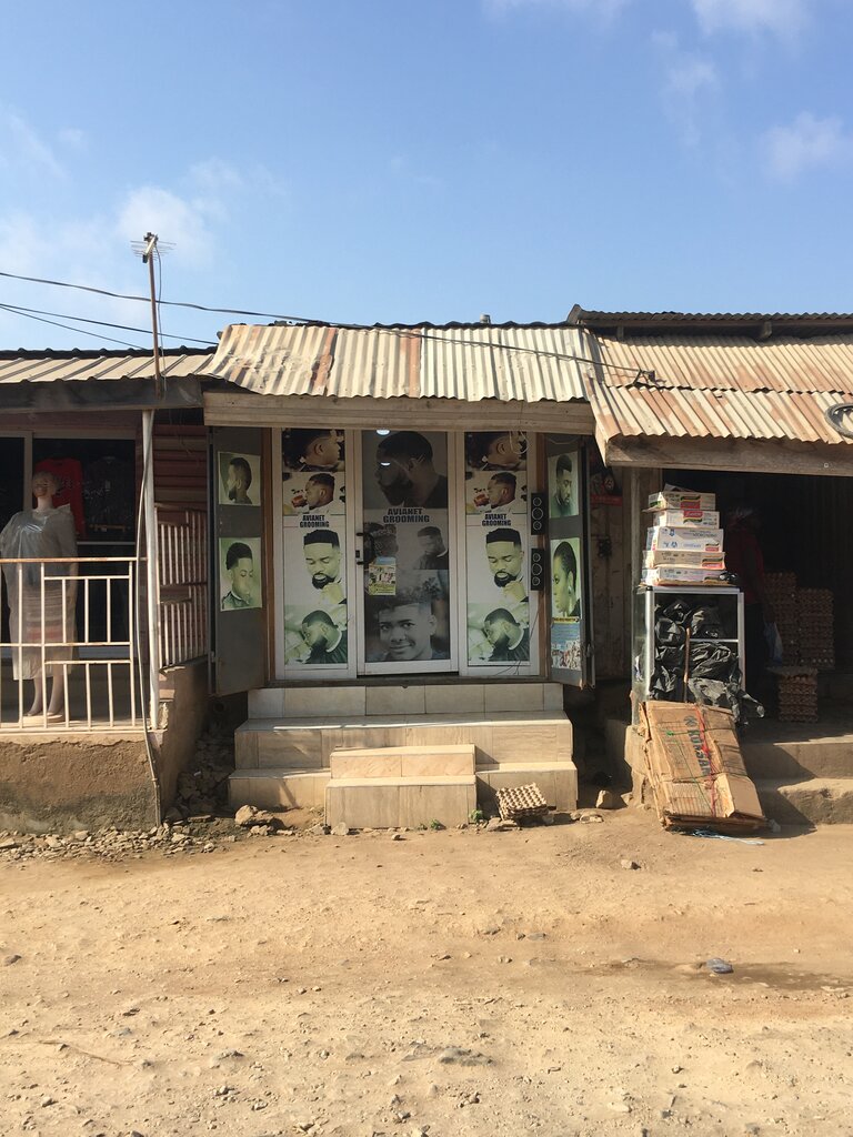 Berberler Avianet grooming, Dünya, foto