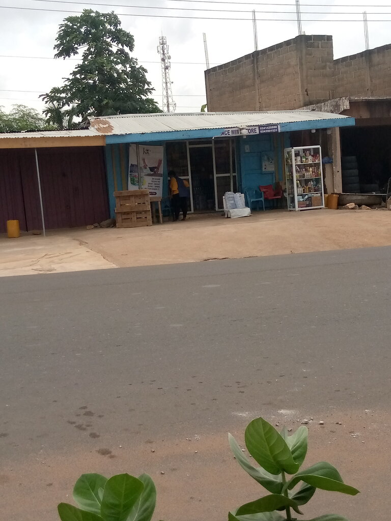 Alkolsüz içecekler Grace mini store, Dünya, foto