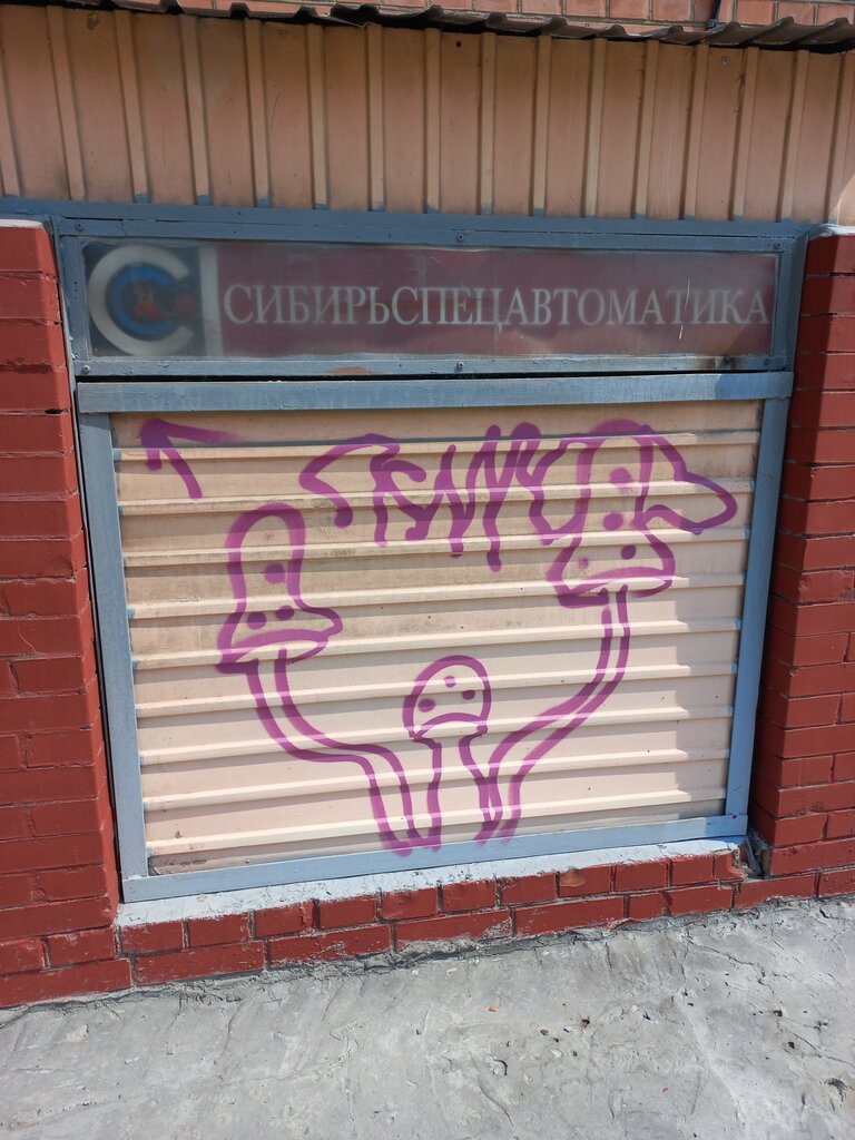 Yangın önleyici sistemler Sibirspetsavtomatika, Novosibirsk, foto