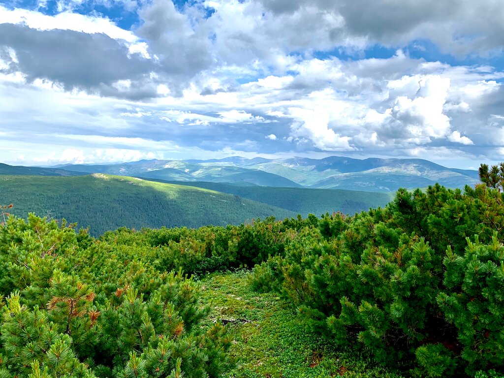 Parklar ve ormanlar Gosudarstvenny prirodny zapovednik Bureinsky, Habarovski krayı, foto