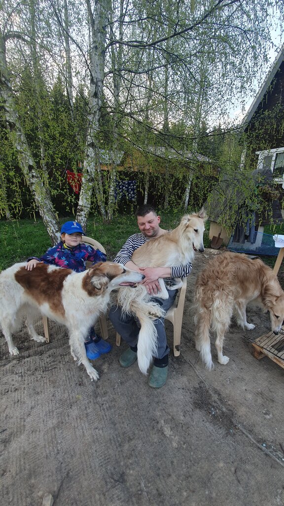 Bahçecilik dernekleri ve kuruluşları СНТ Русское Поле, Kalujskaya oblastı, foto