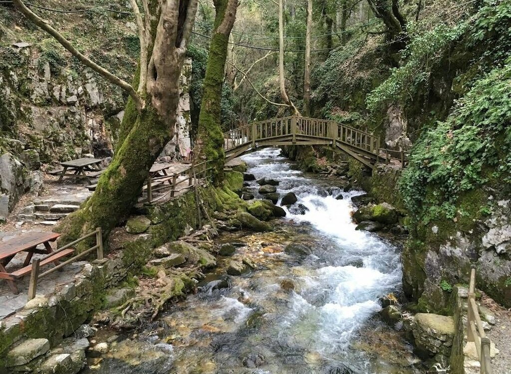 Doğa koruma alanı Ayazma Pınarı Tabiat Parkı, Bayramiç, foto