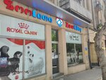 Zoo City (Merab Kostavas Street No:21/1), petshop  Tiflis'ten