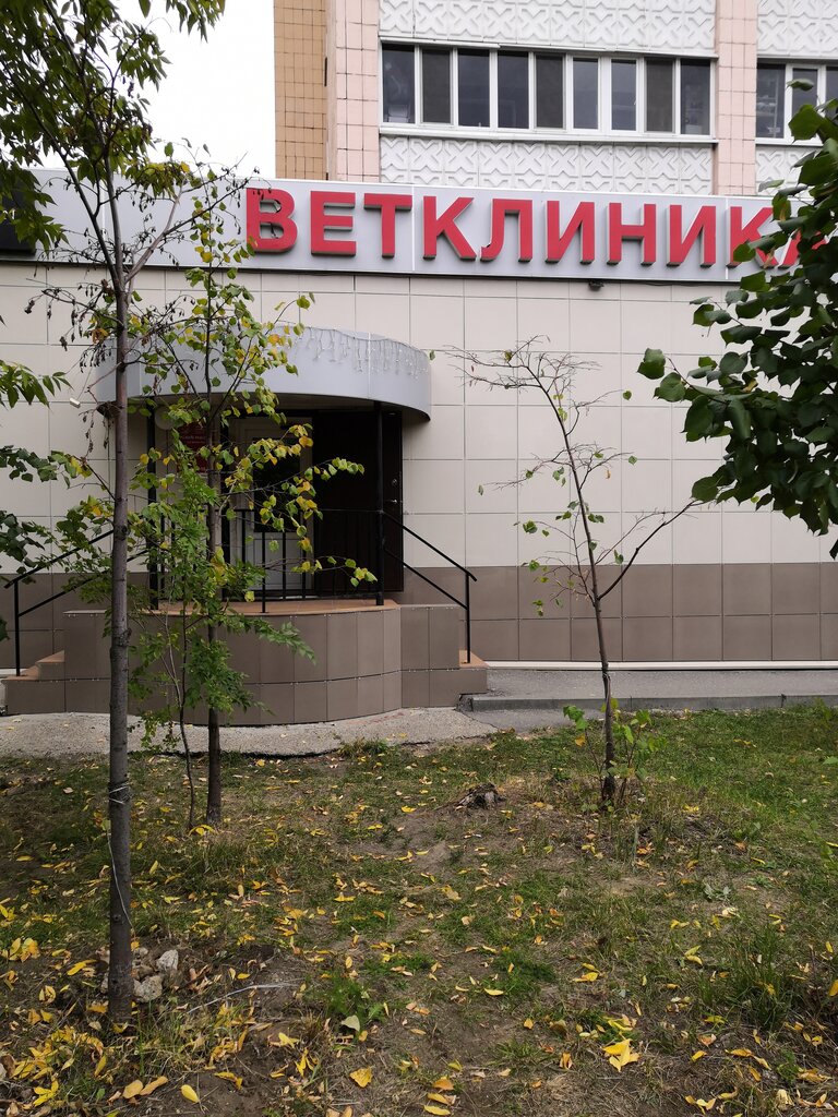 Petshop ProPlan, Kazan, foto