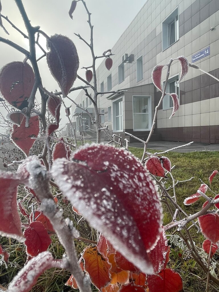 Belediye ve kamu hizmetleri merkezi МФЦ Мои документы, Leninsk‑Kuznetski, foto